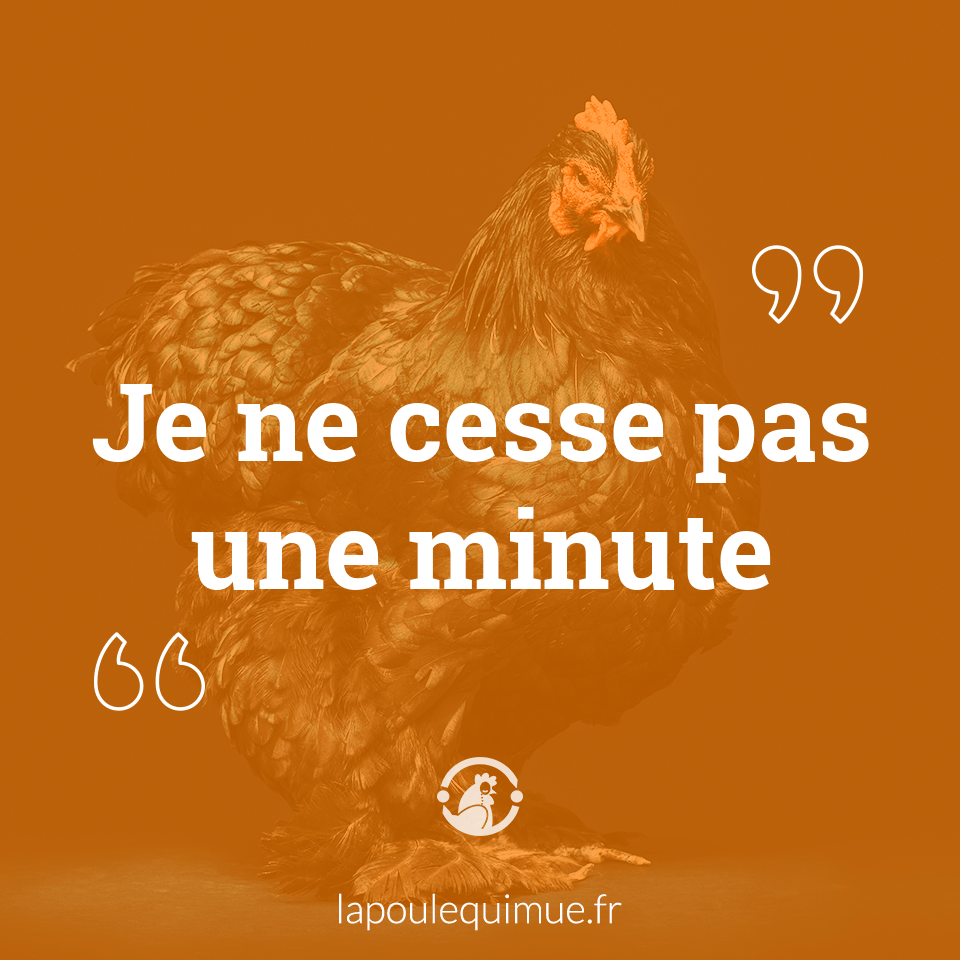 Je ne cesse pas une minute - Contrepèterie & solution